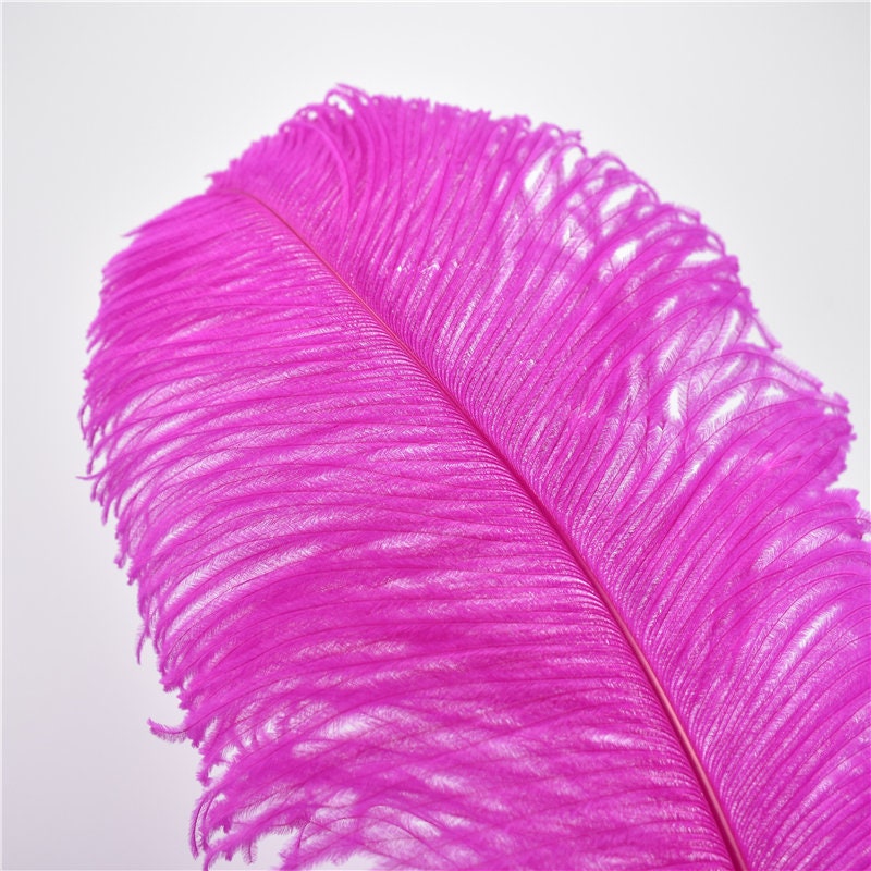 100 Pcs Rose Red Ostrich Feather for Crafts Wedding Decoration - Etsy