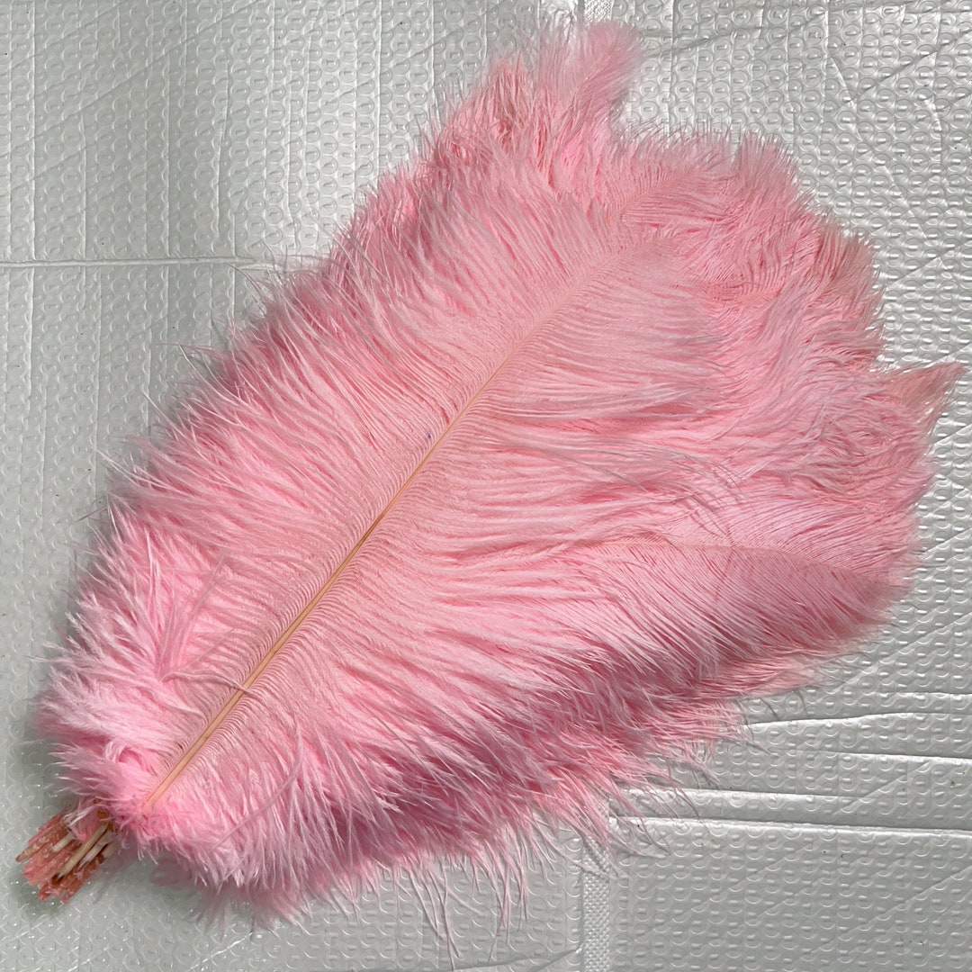 100 Pcs Light Pink Ostrich Feather for Crafts Wedding Decoration ...