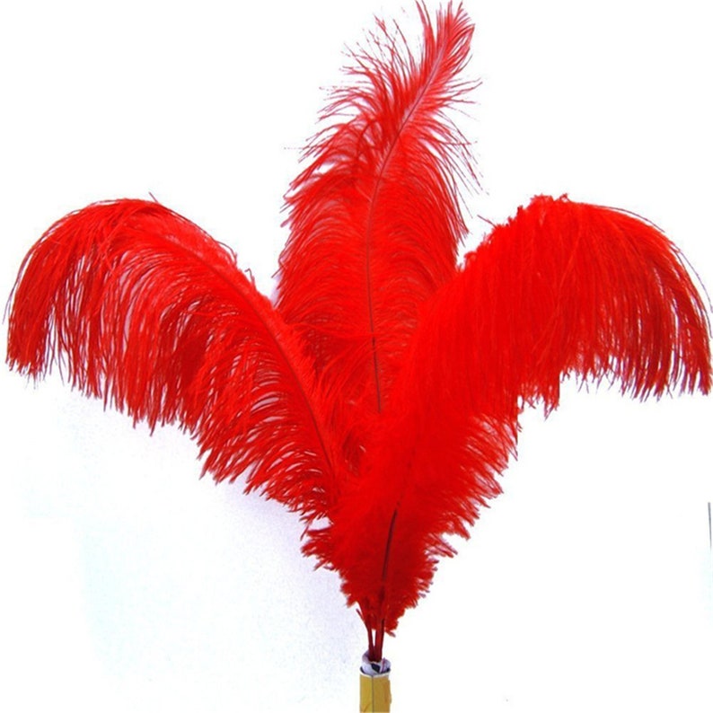 Romantic Red Ostrich Feathers 100pcs Wedding Decoration - Etsy