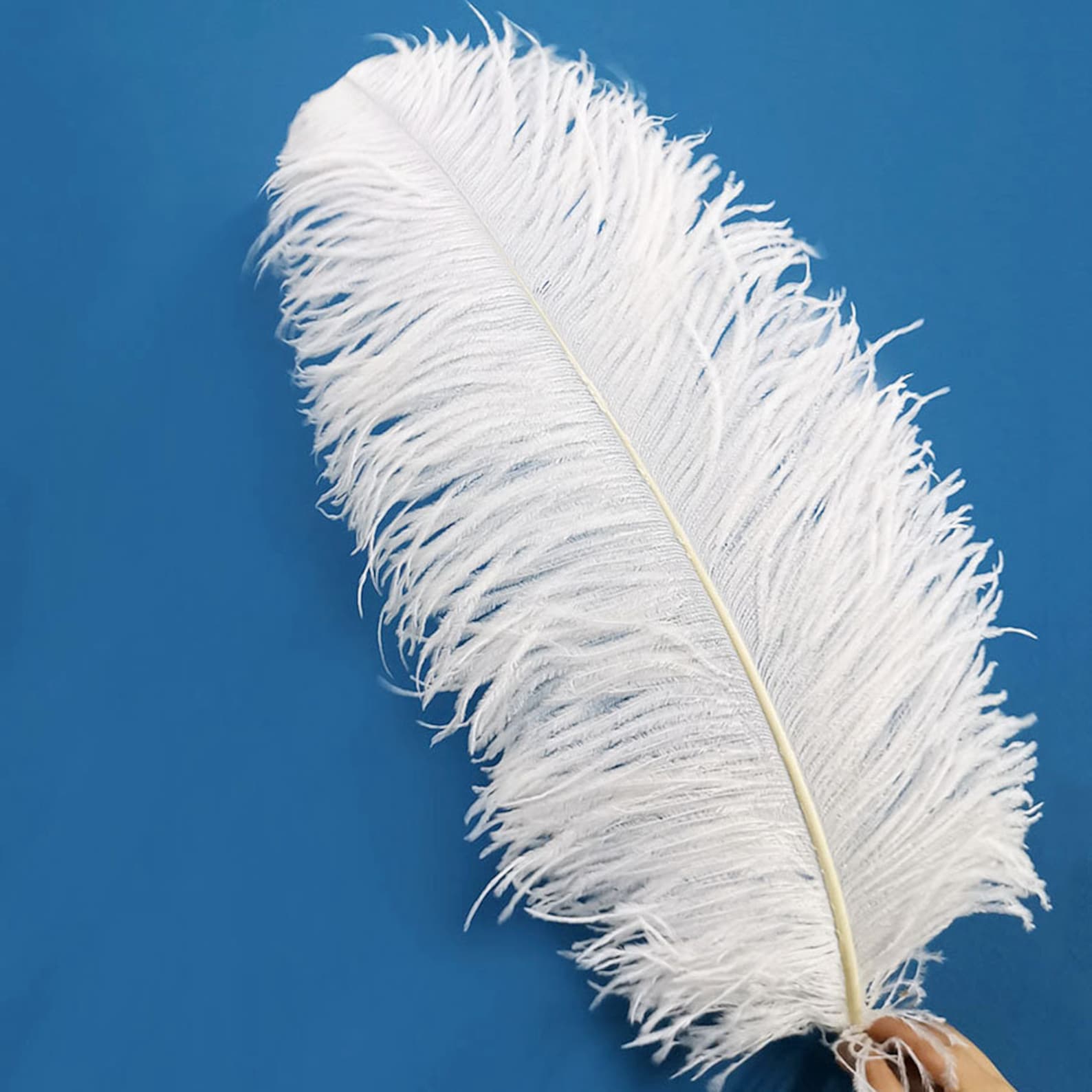 100 Pieces White Ostrich Feathers Wedding Diy Decoration Celebration ...