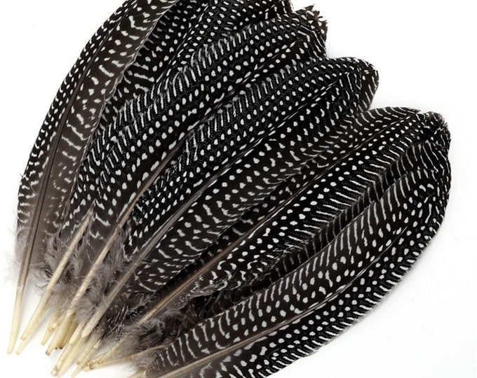 50 Pcs+ - Rooster Saddle Feathers - 2 Inch Strip - Two-tone, Pointy Tip ...