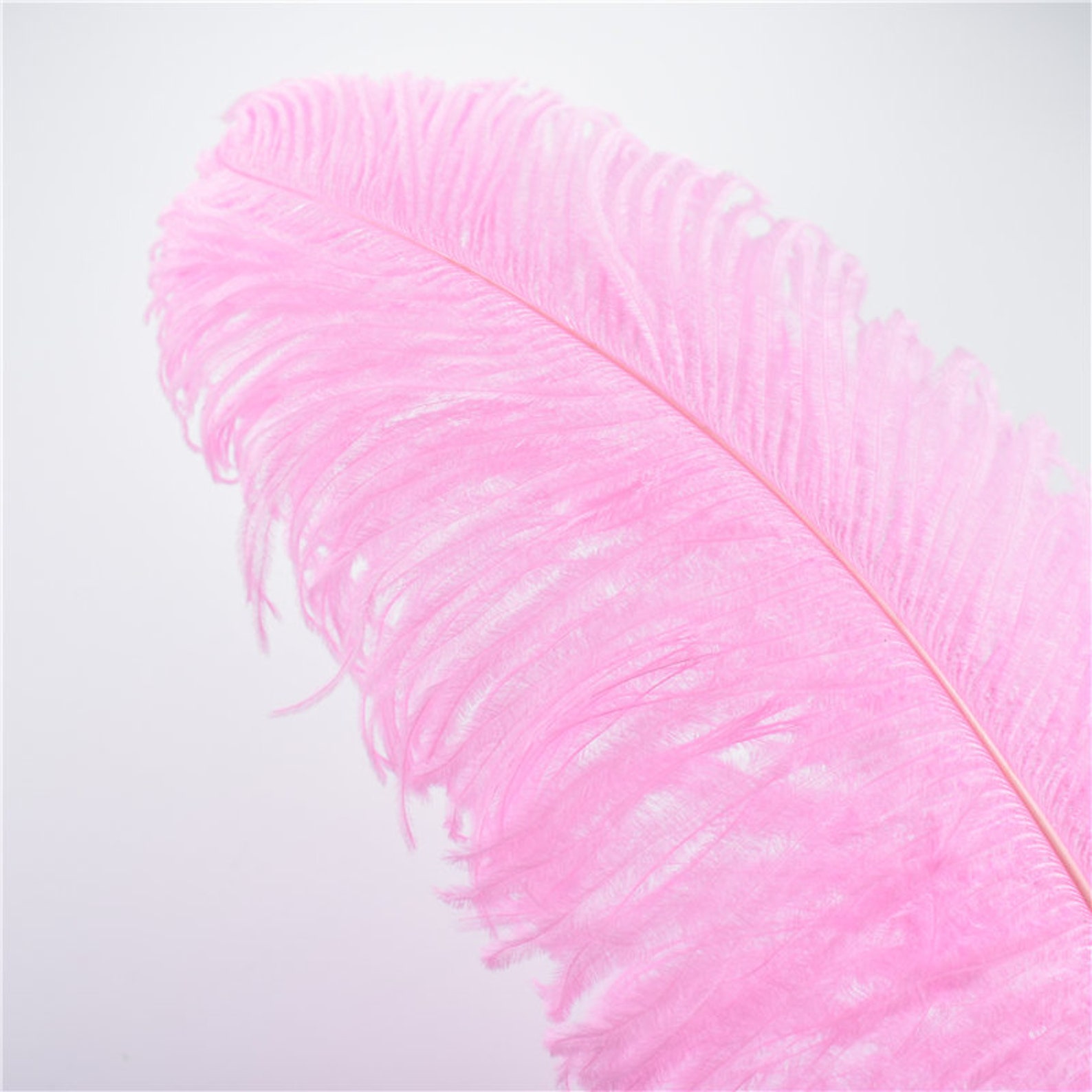 100 Pcs Pink Ostrich Feather for Crafts Wedding Decoration - Etsy