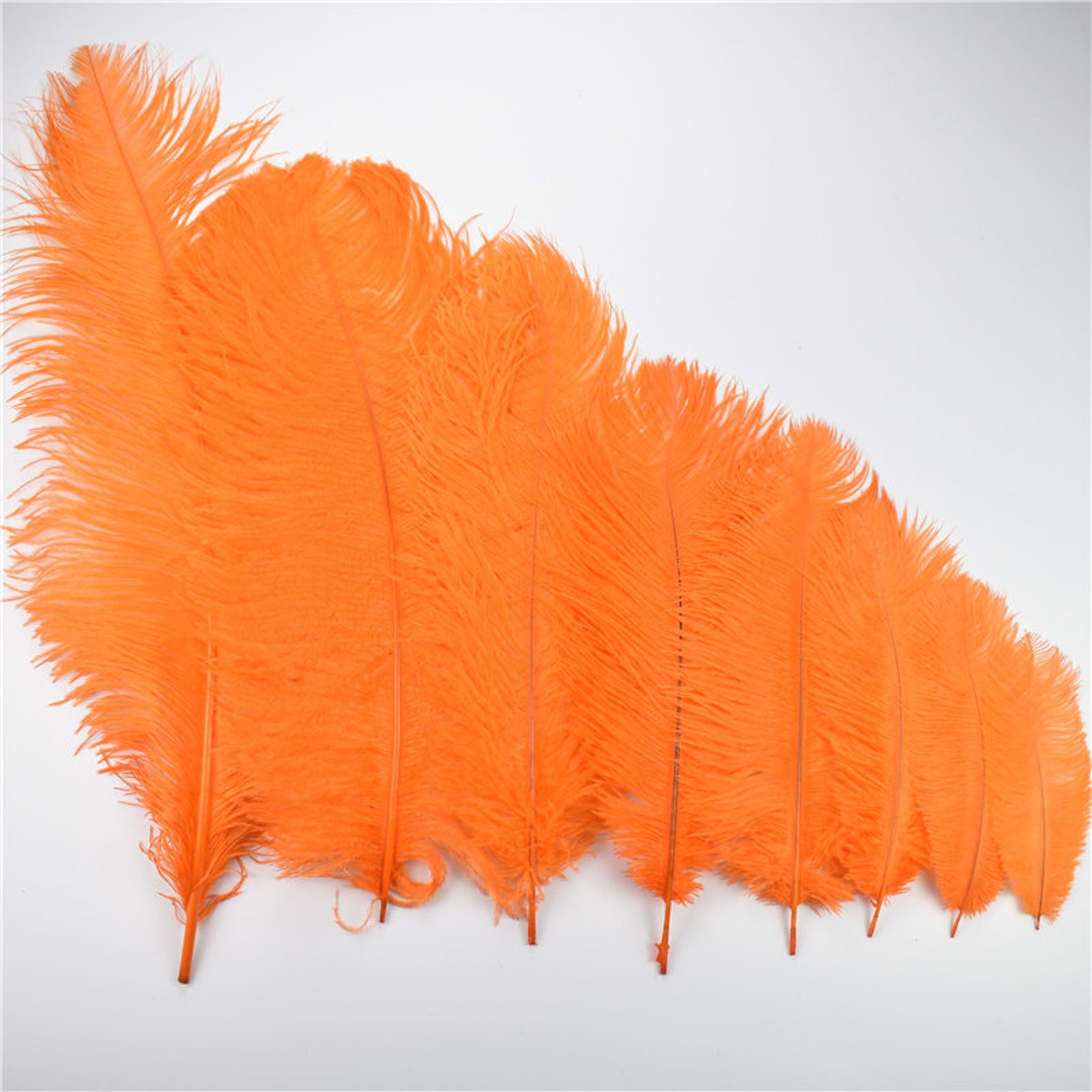100 Pcs Orange Ostrich Feather for Crafts Wedding Decoration - Etsy