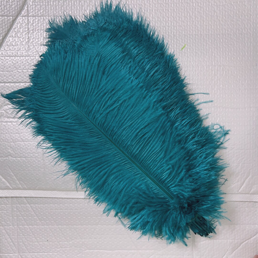 100 Pcs Cyan-blue Ostrich Feather for Crafts Wedding Decoration Natural ...
