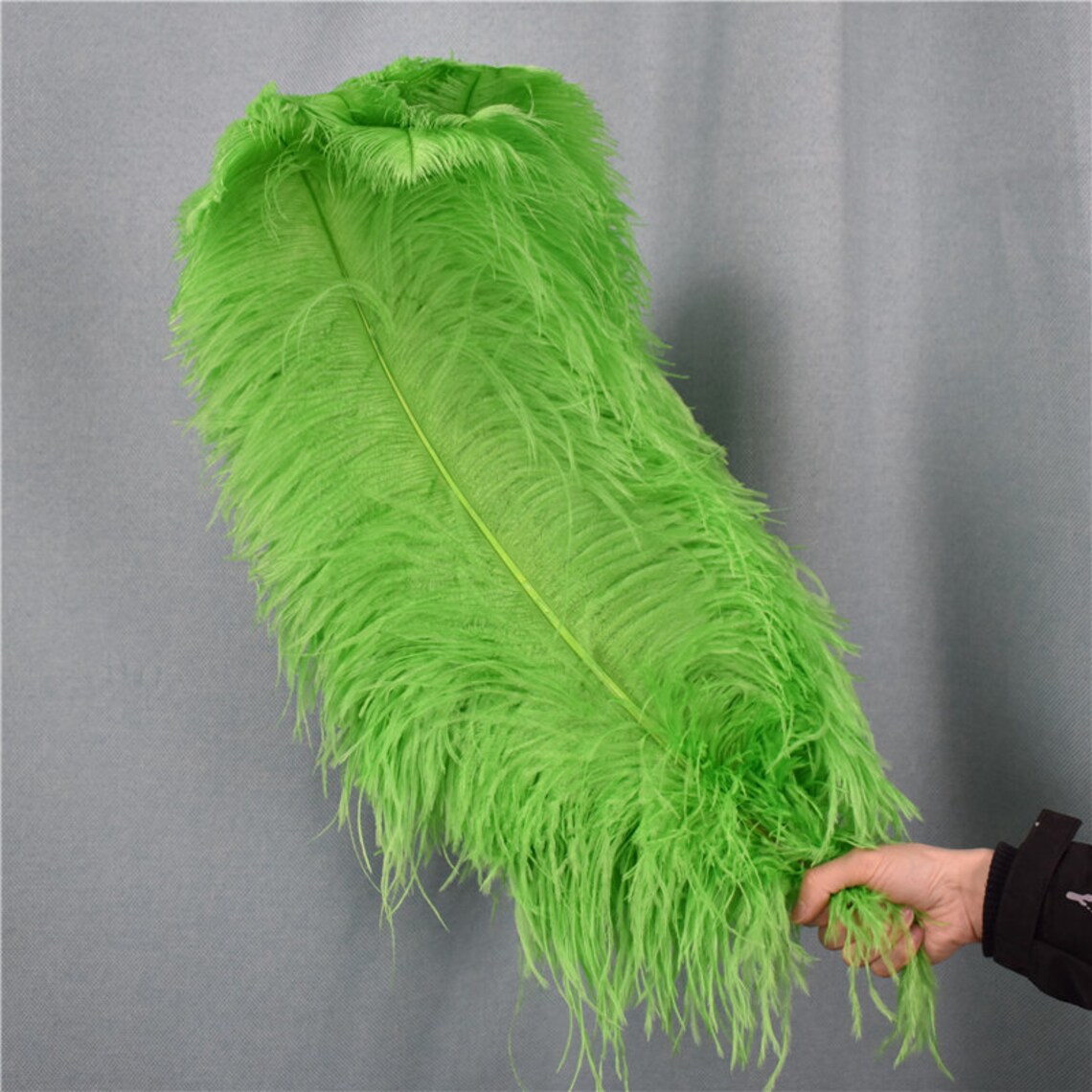 100 Pcs Green Ostrich Feather for Crafts Wedding Decoration | Etsy