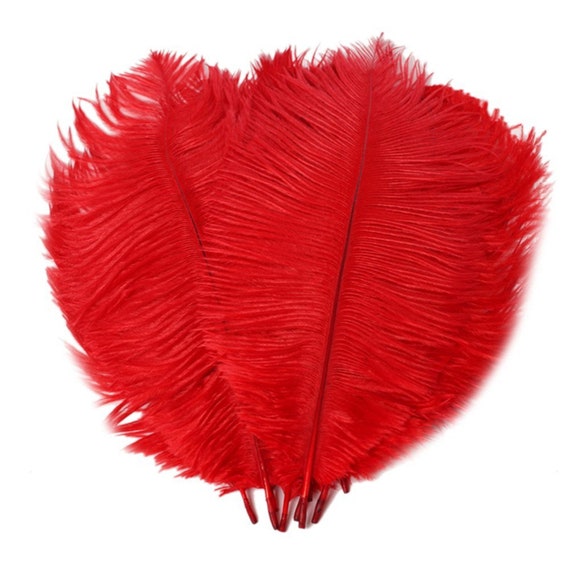 Craft ostrich feathers store
