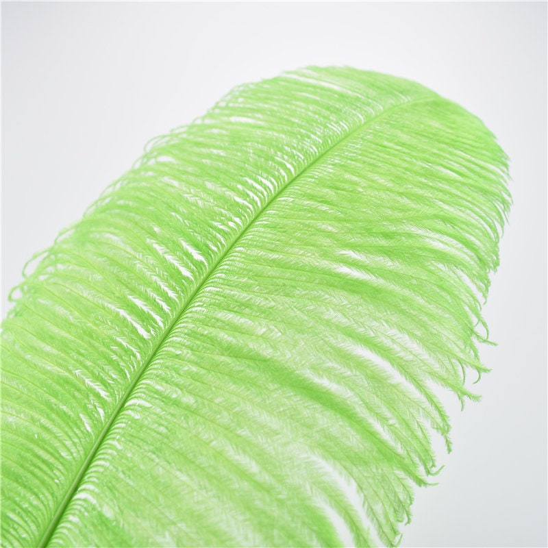 100 Pcs Green Ostrich Feather for Crafts Wedding Decoration Natural ...