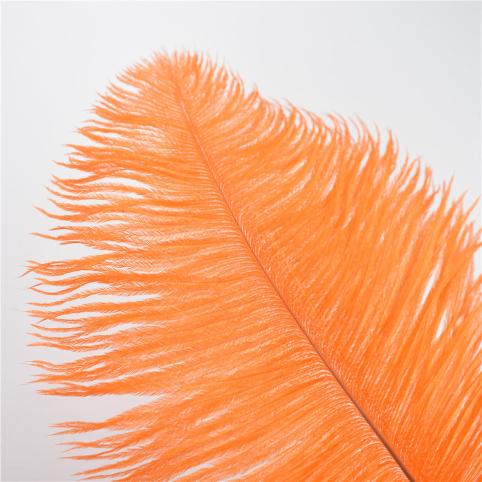 100 Pcs Orange Ostrich Feather for Crafts Wedding Decoration - Etsy