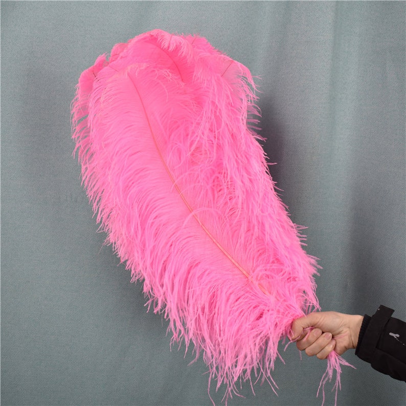 100 Pcs Pink Ostrich Feather for Crafts Wedding Decoration - Etsy