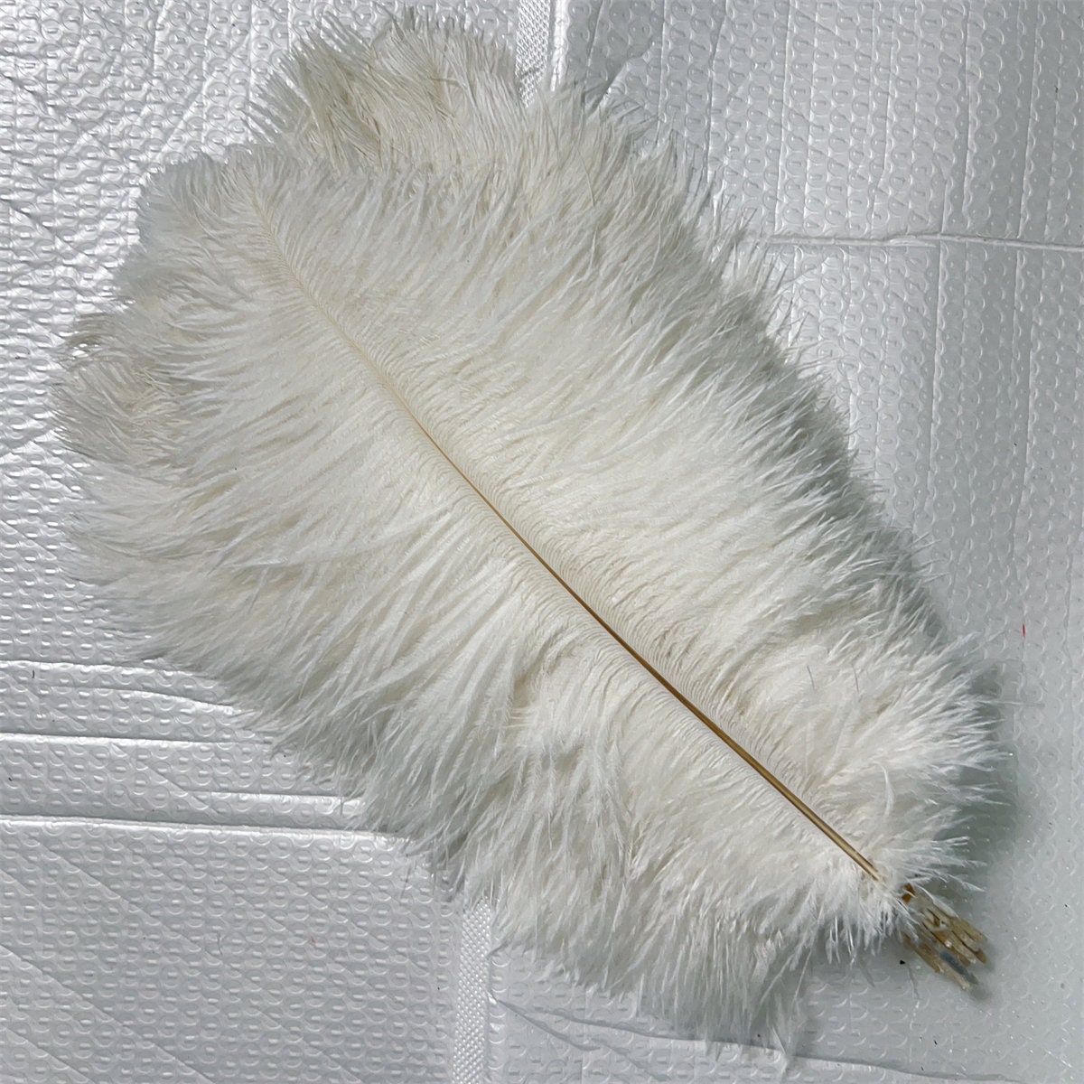 100 Pieces White Ostrich Feathers Wedding Diy Decoration Celebration ...