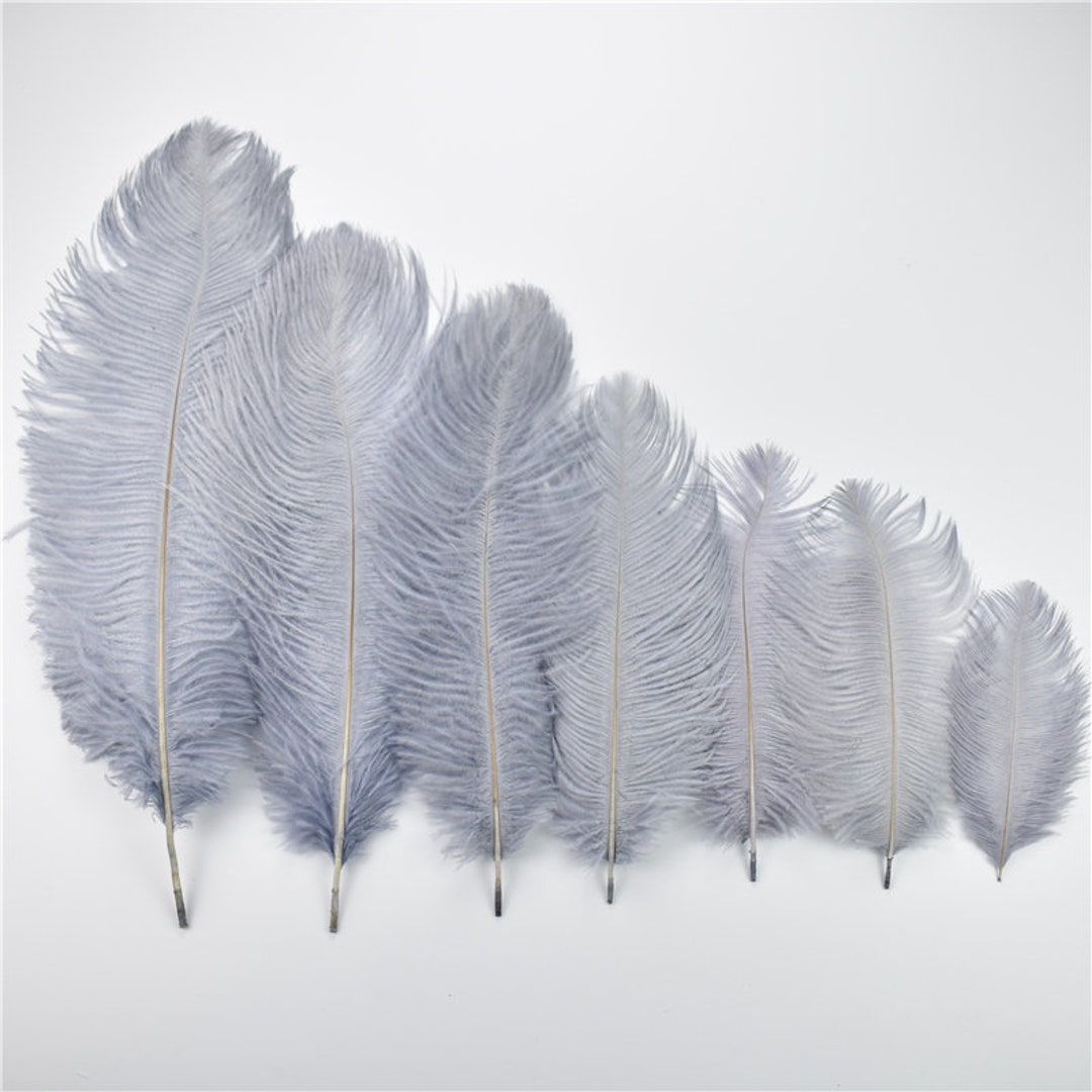 100 Pcs Gray Ostrich Feather for Crafts Wedding Decoration Natural ...