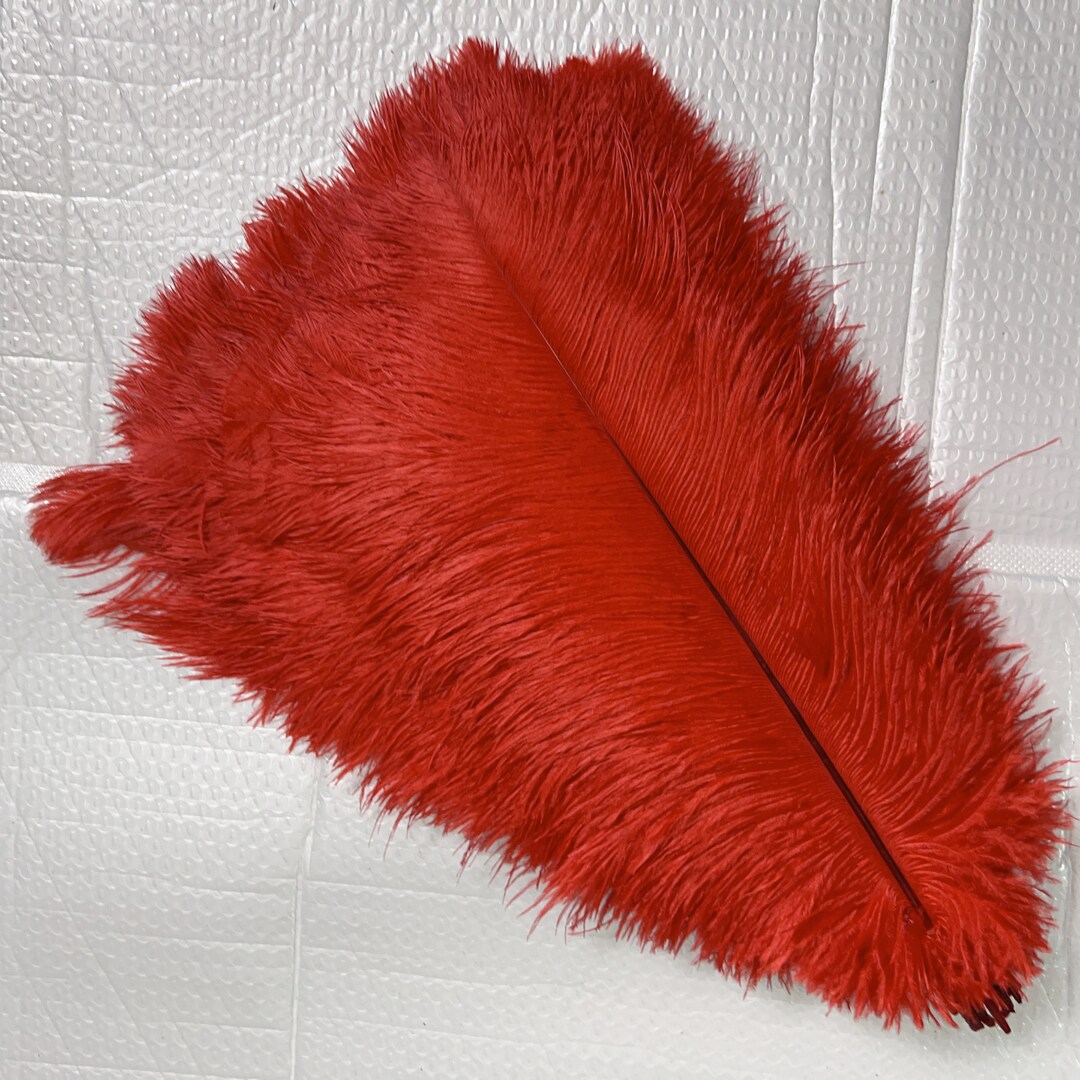 100 Pcs Red Ostrich Feather for Crafts Wedding Decoration Natural ...