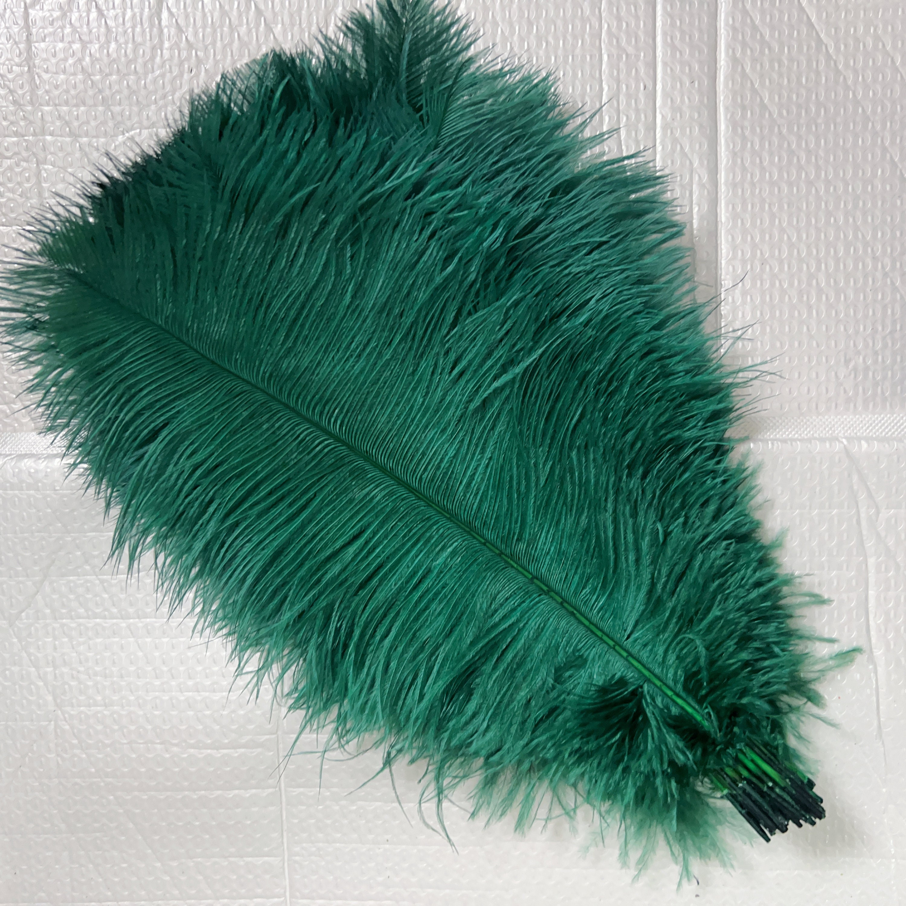 100 Pcs Emerald Color Ostrich Feather for Crafts Wedding - Etsy