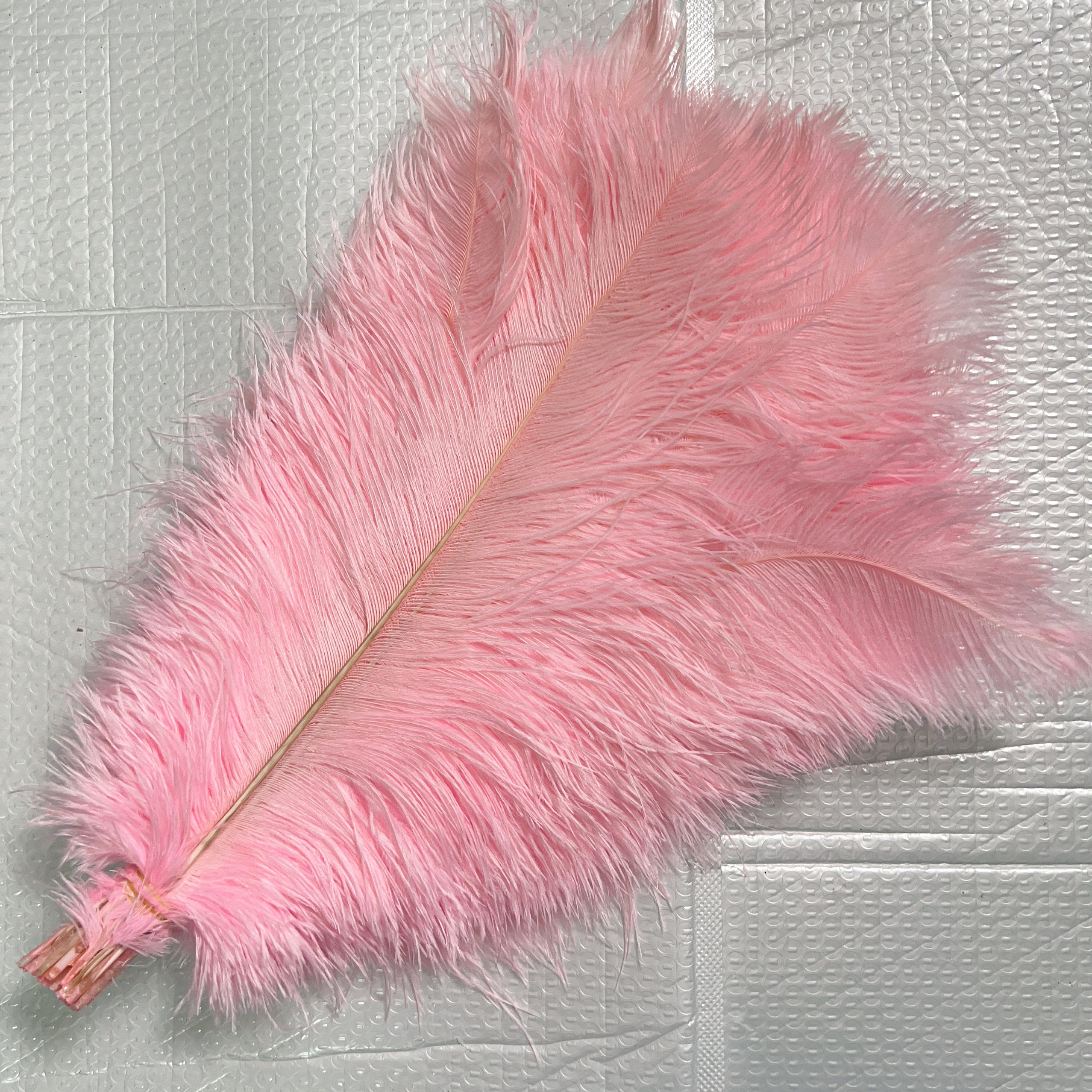 100 Pcs Light Pink Ostrich Feather for Crafts Wedding - Etsy