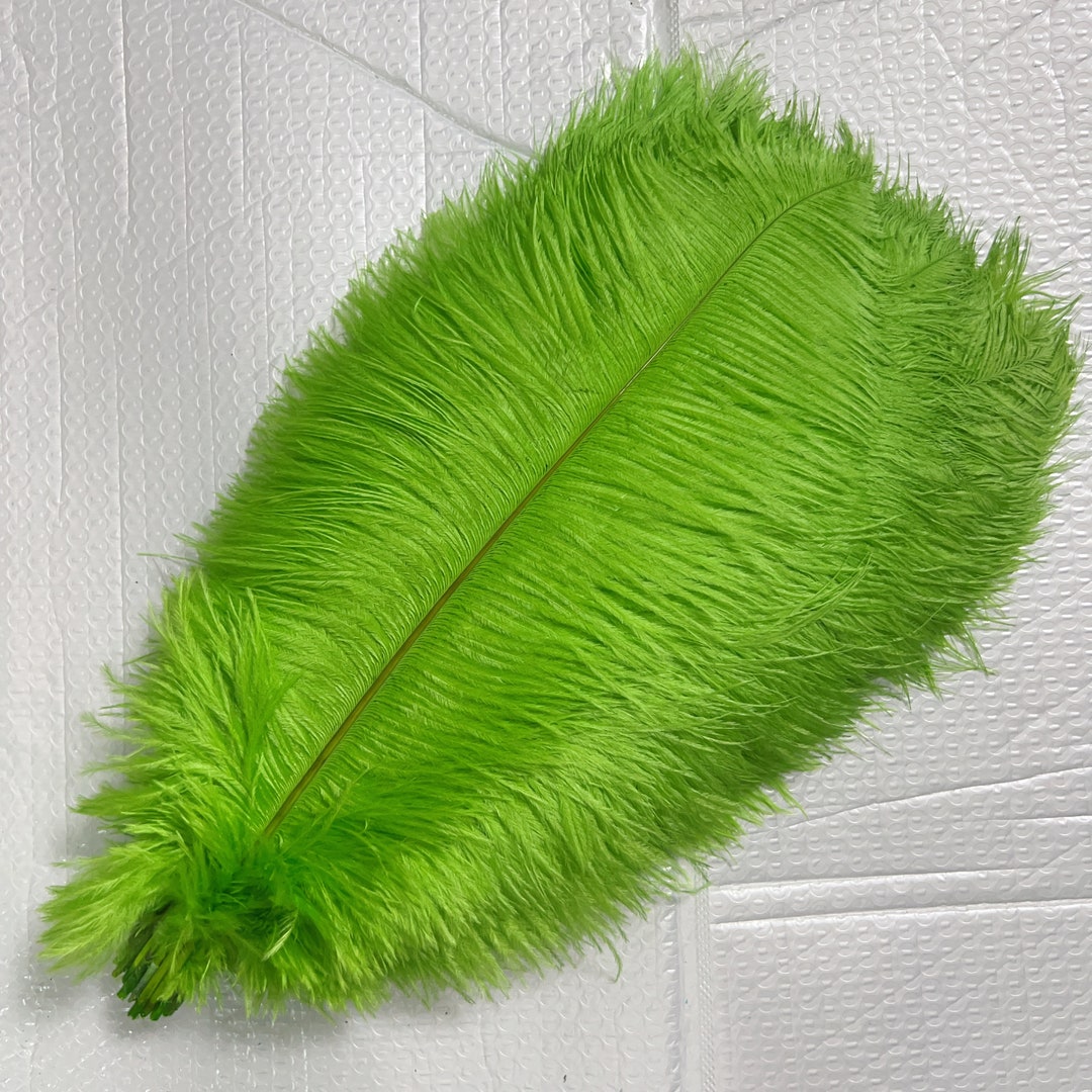 100 Pcs Fruit Green Ostrich Feather for Crafts Wedding Decoration ...