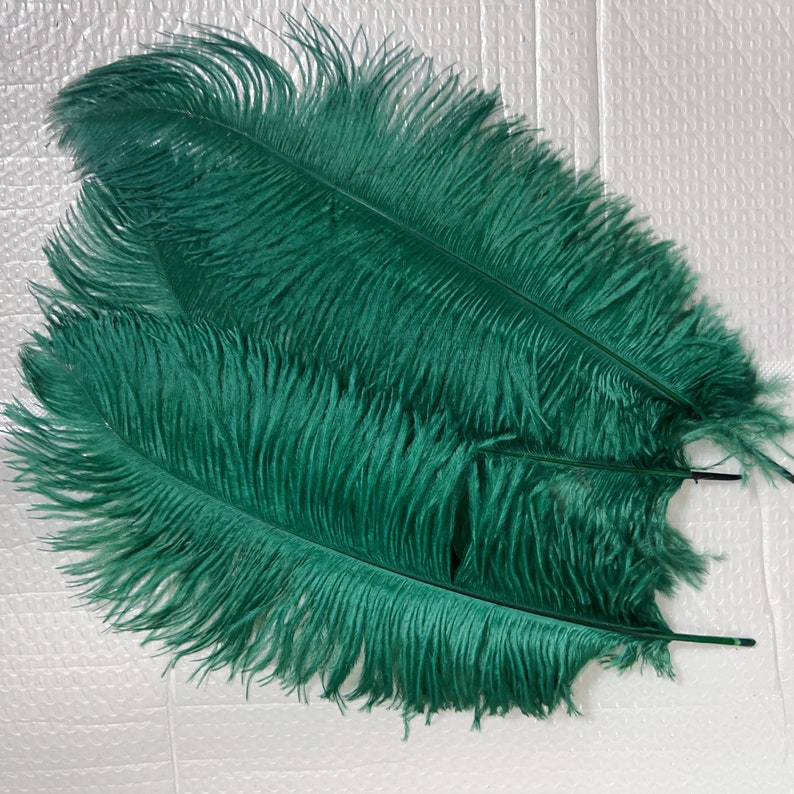 100 Pcs Emerald Color Ostrich Feather for Crafts Wedding Decoration ...