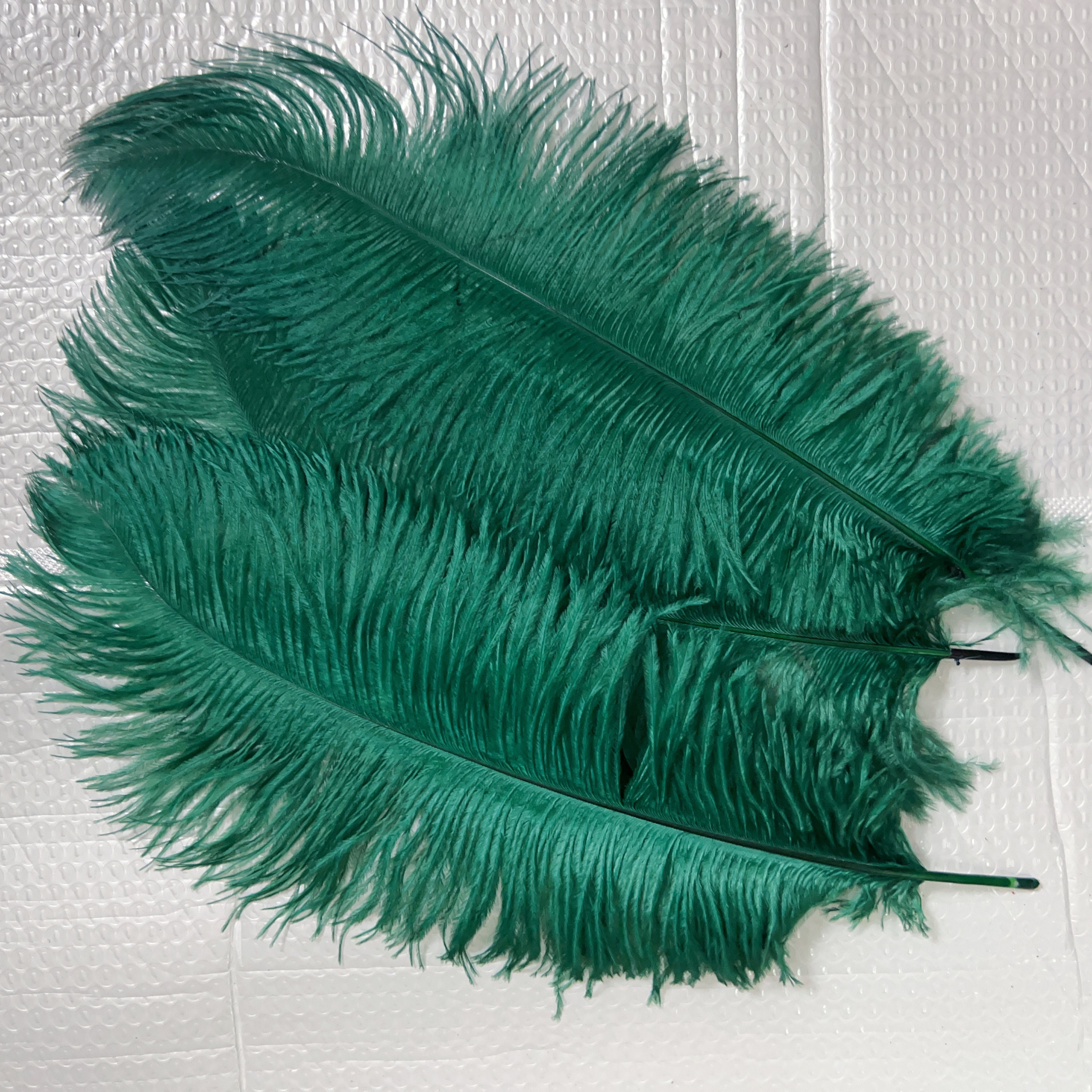 100 Pcs Emerald Color Ostrich Feather for Crafts Wedding - Etsy