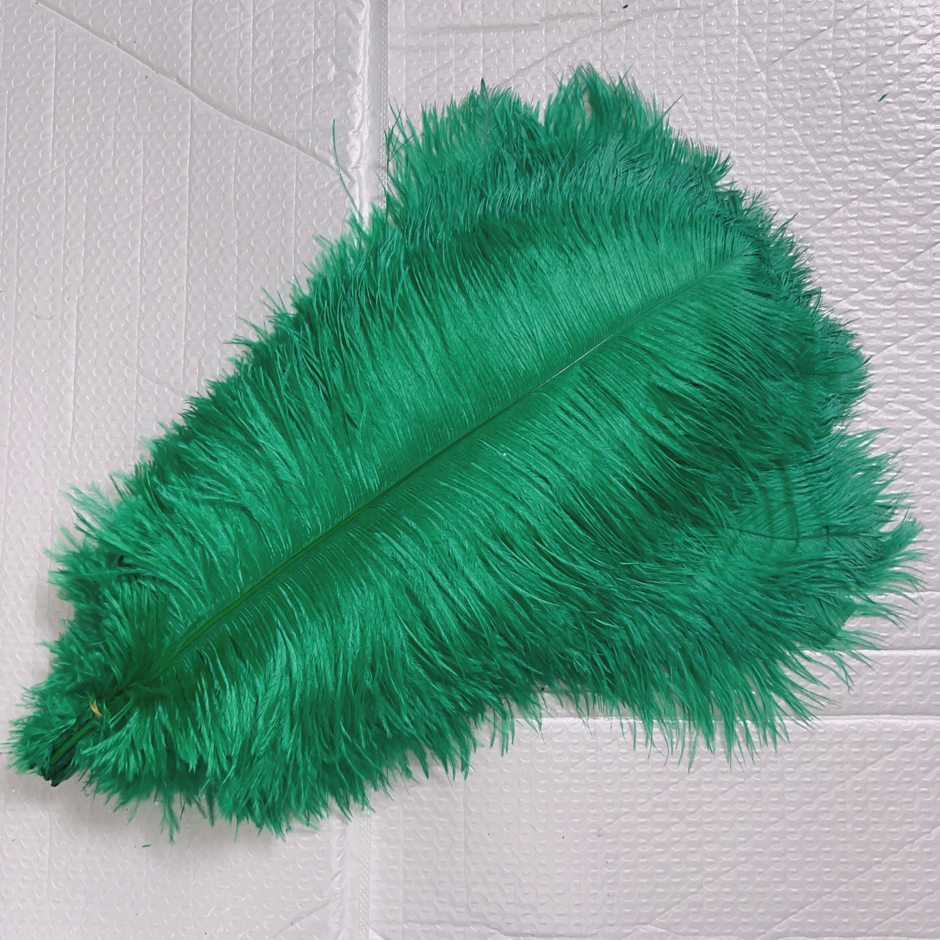 100 Pcs Grass Green Ostrich Feather for Crafts Wedding - Etsy
