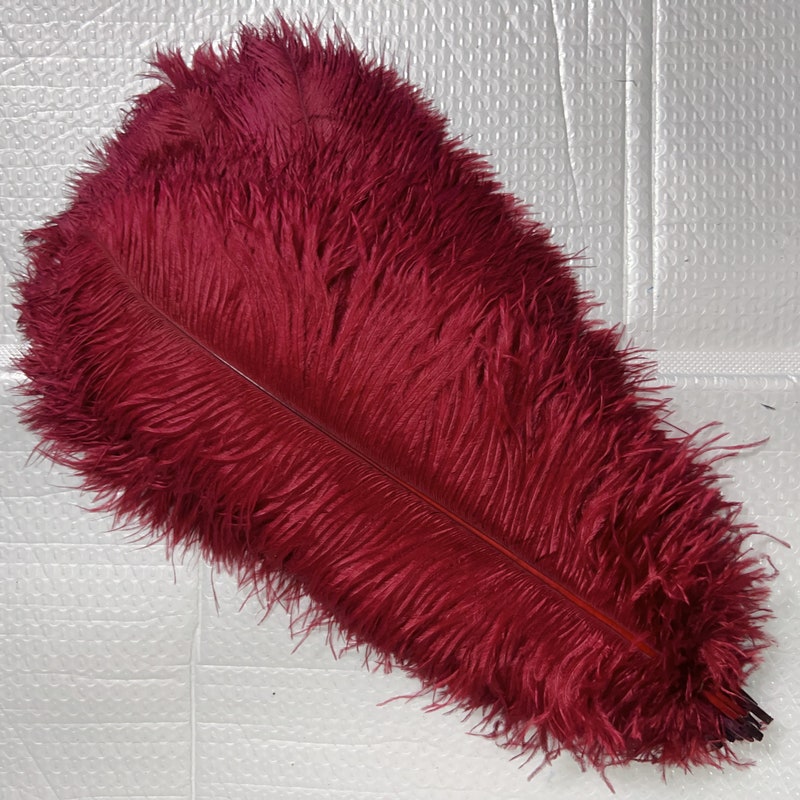 Ostrich Feather - Etsy