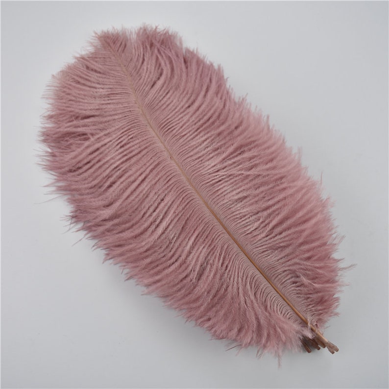 100 Pcs Ostrich Feather for Crafts Wedding Decoration Natural - Etsy