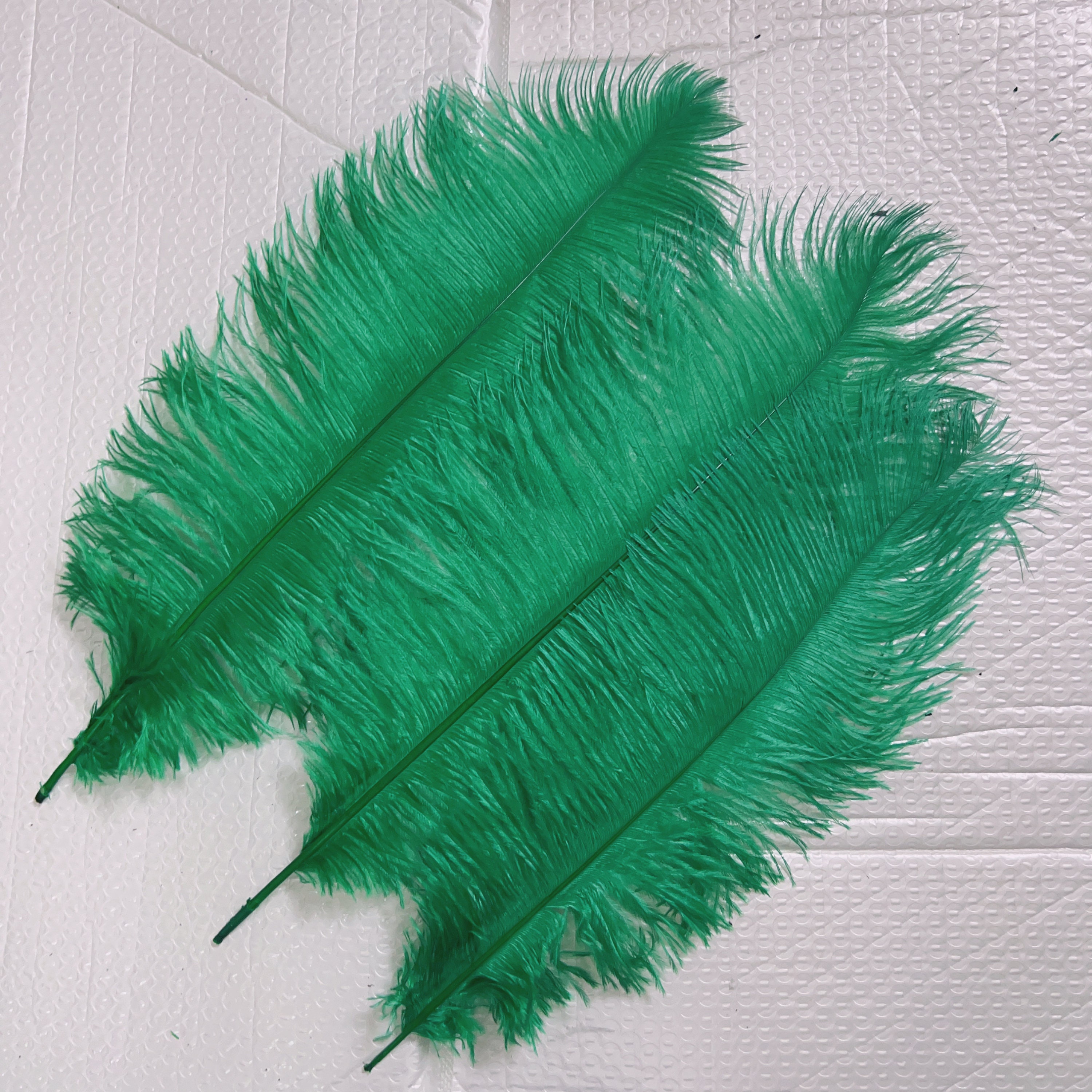 100 Pcs Grass Green Ostrich Feather for Crafts Wedding - Etsy