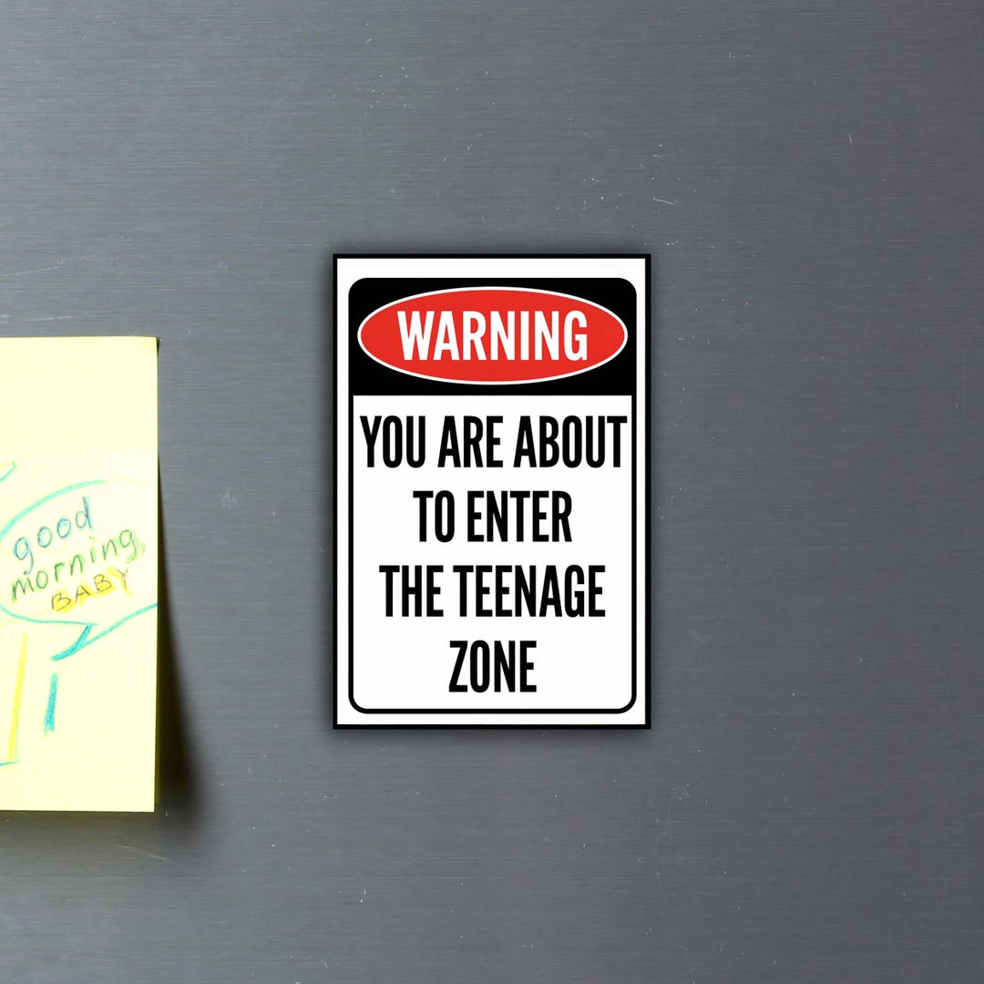 Warning Teenage Zone Funny Fridge Magnet Gift for Parents 483 - Etsy