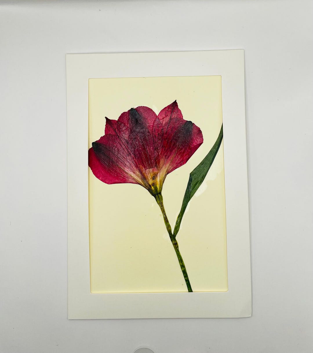 Pressed Flower Card: Handmade Botanical Keepsake With Envelope - Etsy