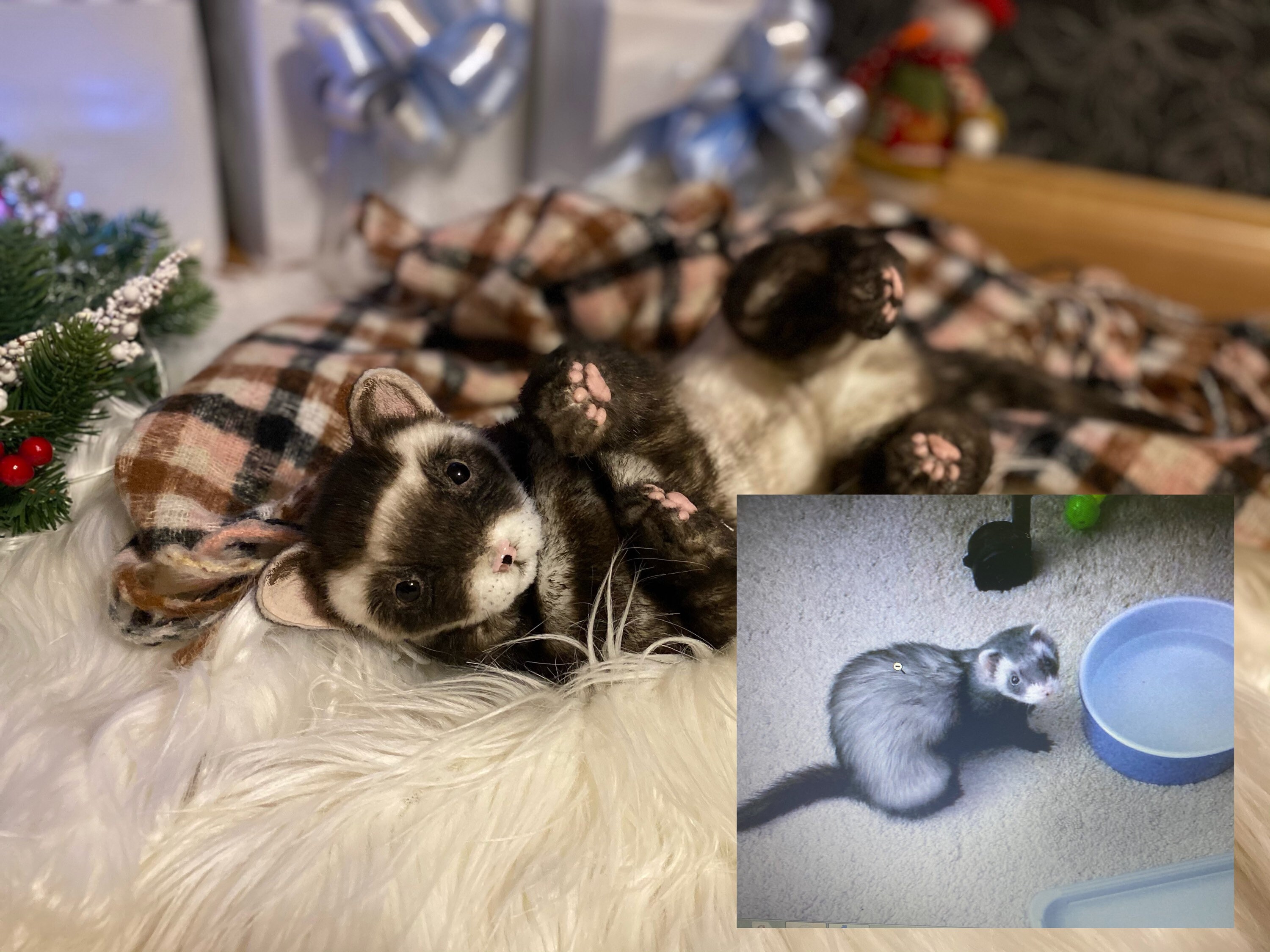 Life look replica ferret custom stuffed realistic plush | Etsy