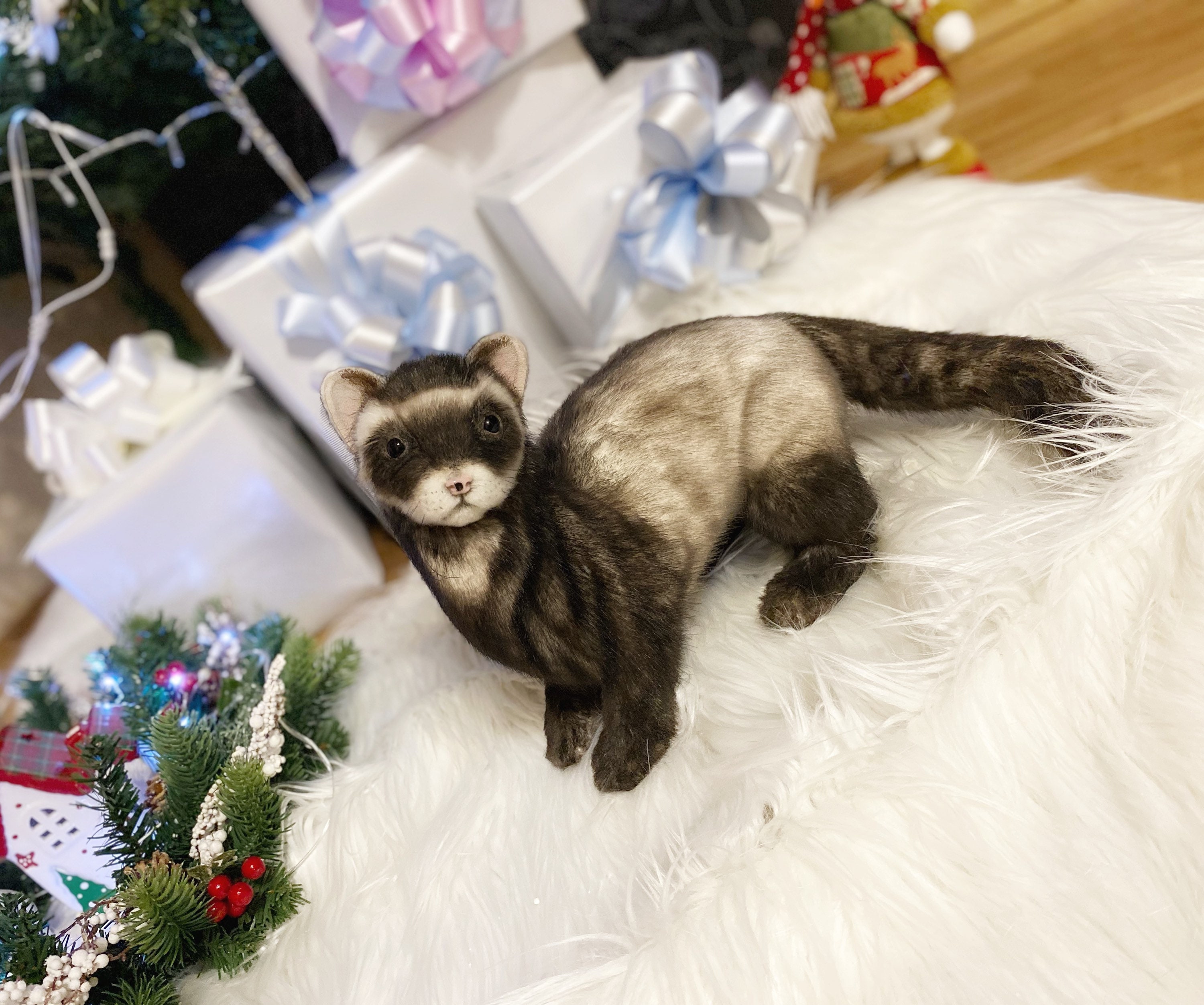 Life look replica ferret custom stuffed realistic plush | Etsy