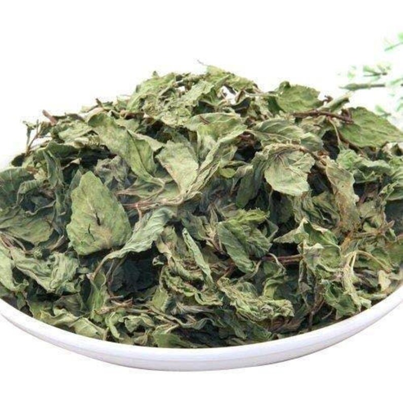 Dried Mint is 50grams in a Packet,which Has a Rate. the Mint/pudina ...
