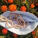 Beautiful Tulsi Japa Mala Whith Bag, Krishna Photos Handmade Bag From Vrindavan,shiree Radha ...