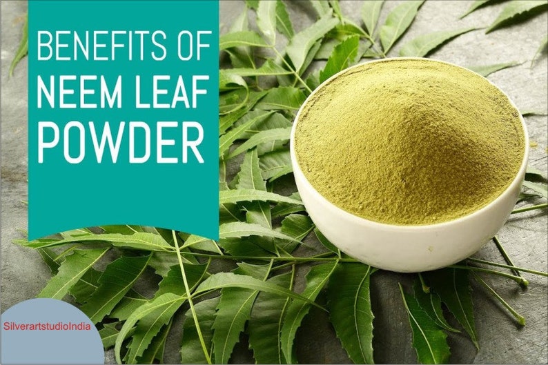Natural Organic Neem Powder , Azadirachta Indica,sensitive Skincare ...