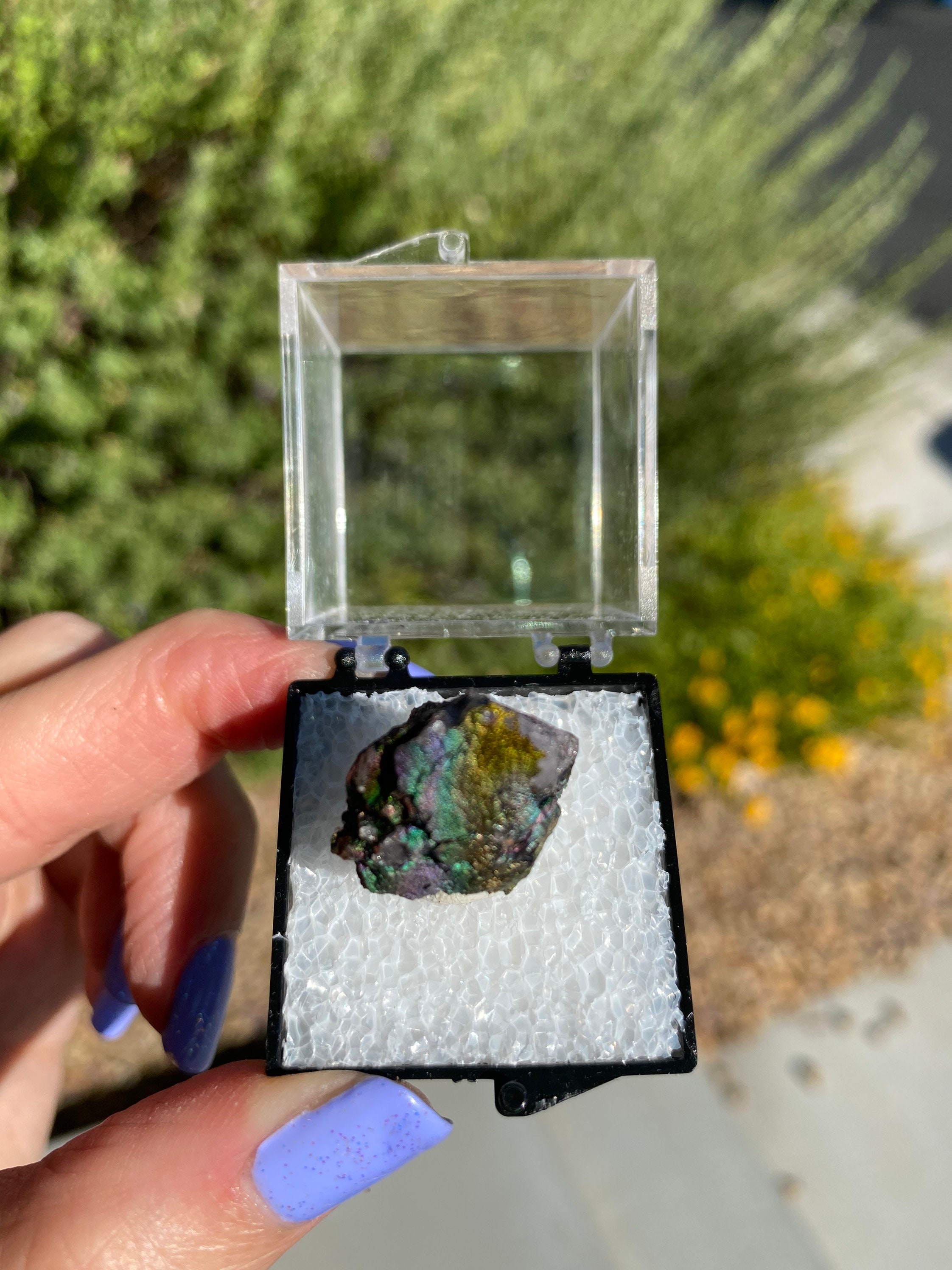 Iridescent Rainbow Turgite From Graves Mtn, Thumbnail Mineral, Display ...
