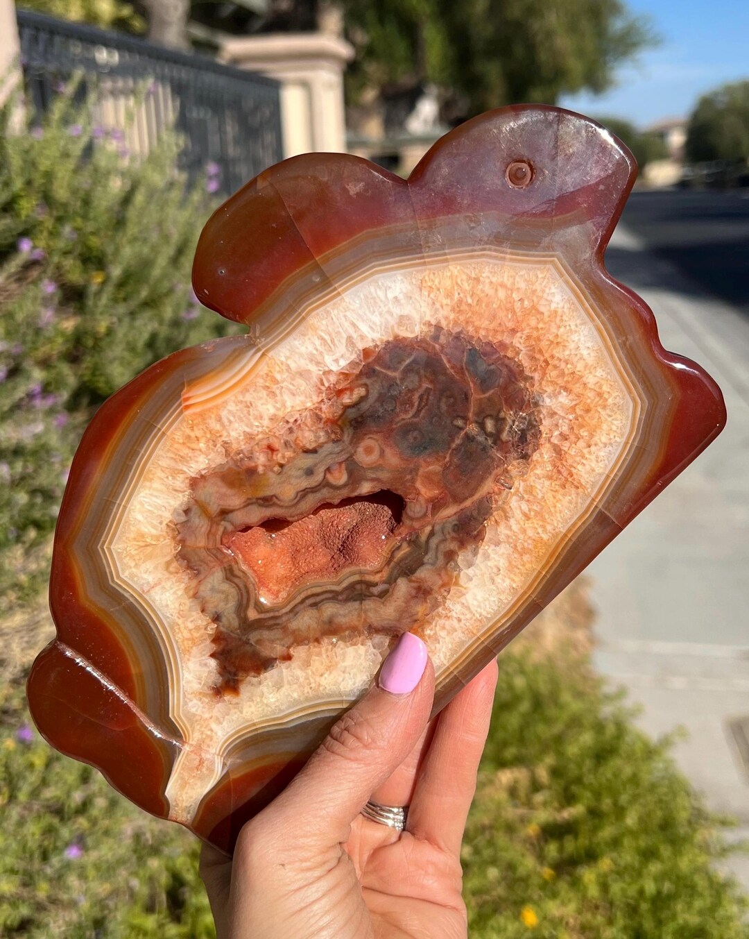 Carnelian Rabbit Slab Carving 2lb W/stand, Banded Carnelian, Carnelian ...