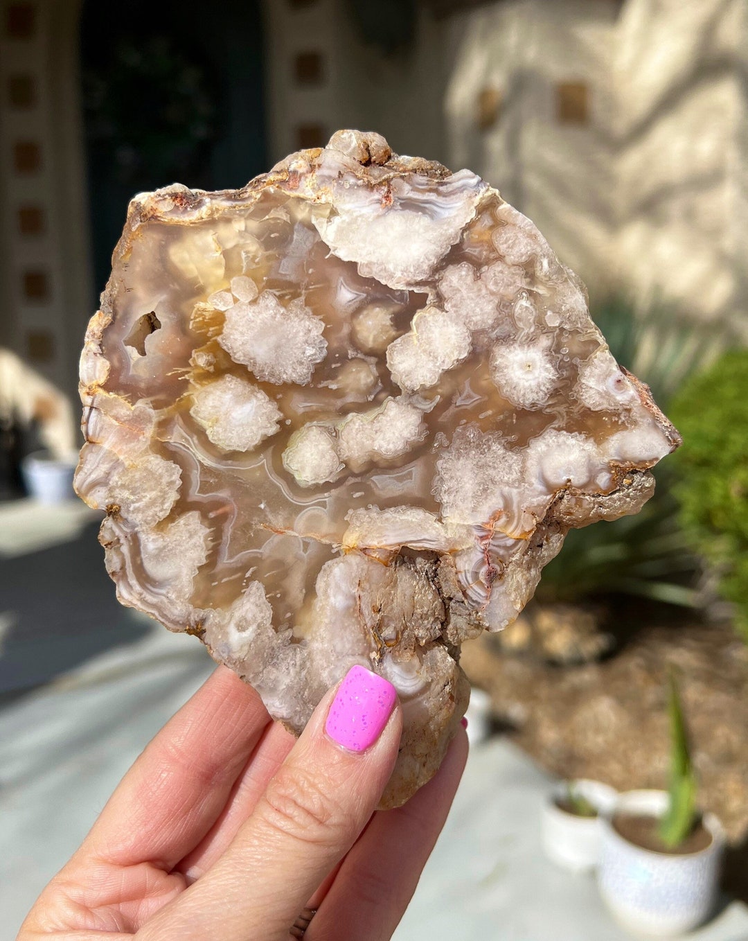 Flower Agate Slab W/stand 424g, Natural Flower Agate, Blossom Agate ...