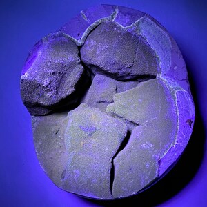 UV Reactive Half Septarian Dragon Egg Geode W/stand - Etsy