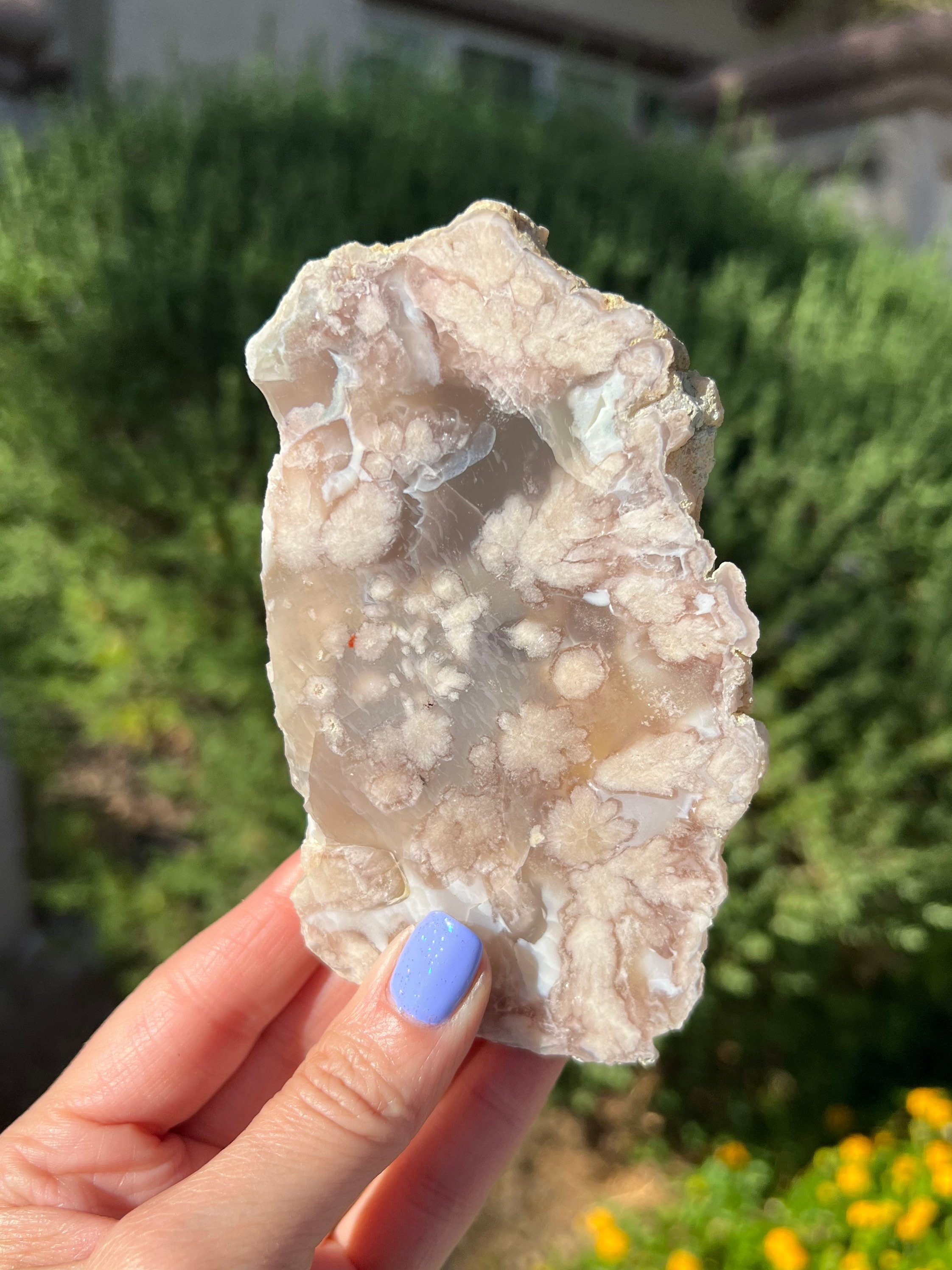 Flower Agate Slab W/stand 213g, Natural Flower Agate, Blossom Agate ...