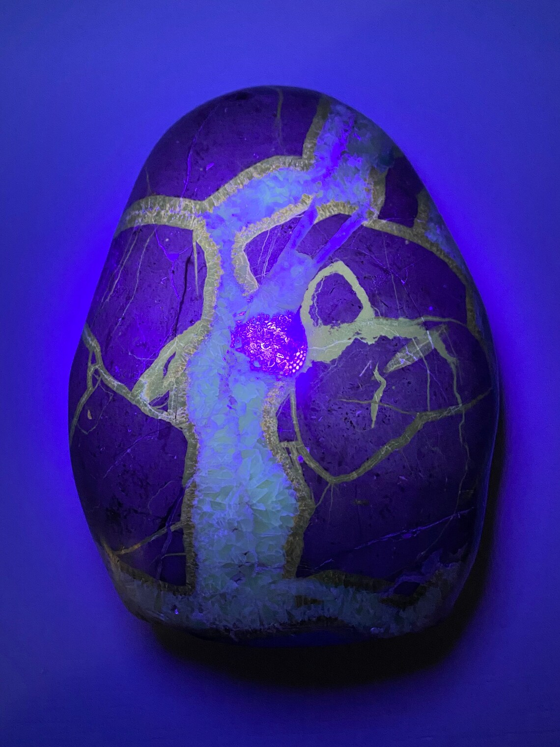 2.2lb UV Reactive Septarian Dragon Freeform, Septarian Dragon Freeform ...