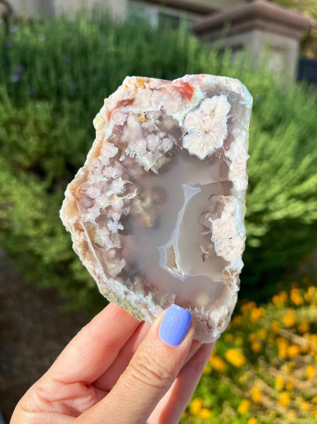 UV Reactive Flower Agate Slab W/stand 223g, Natural Flower Agate ...