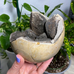 UV Reactive Half Septarian Dragon Egg Geode W/stand - Etsy