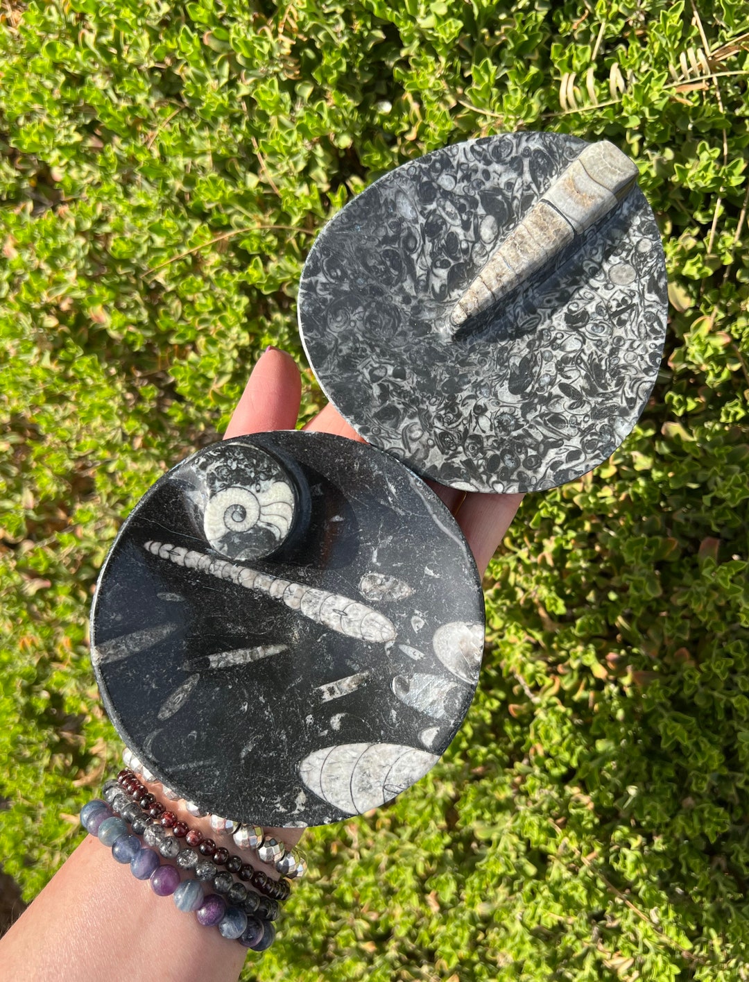 You Choose*orthoceras Fossil Bowls, Orthoceras Fossil, Orthoceras Bowl ...