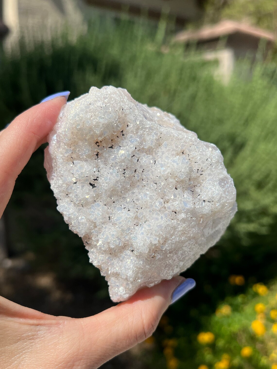 1lb Angel Aura Quartz Cluster - Etsy
