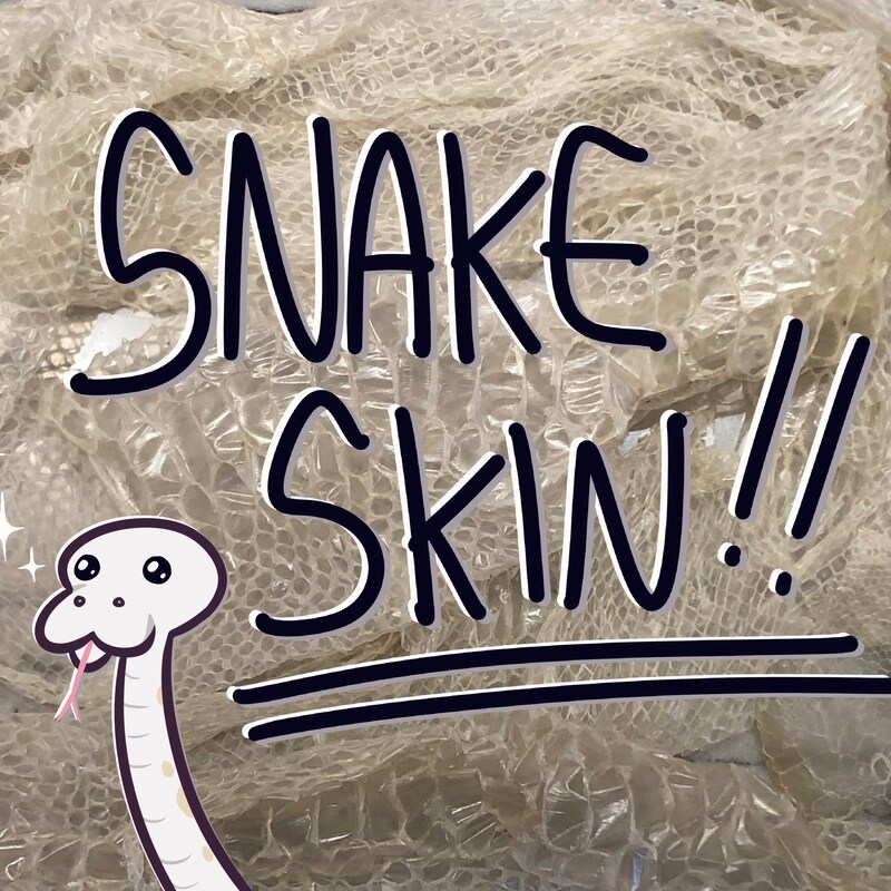 Snake Sheds - Etsy