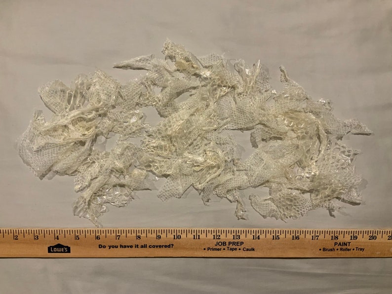 020 Ball Python Snake Shed - Etsy