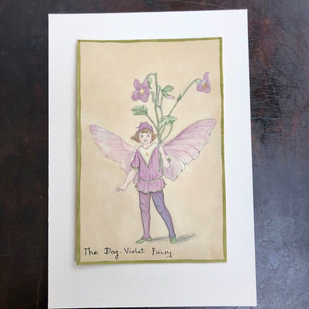 Cicely Mary Barker Original Vintage Watercolour Painted Copies Flower ...