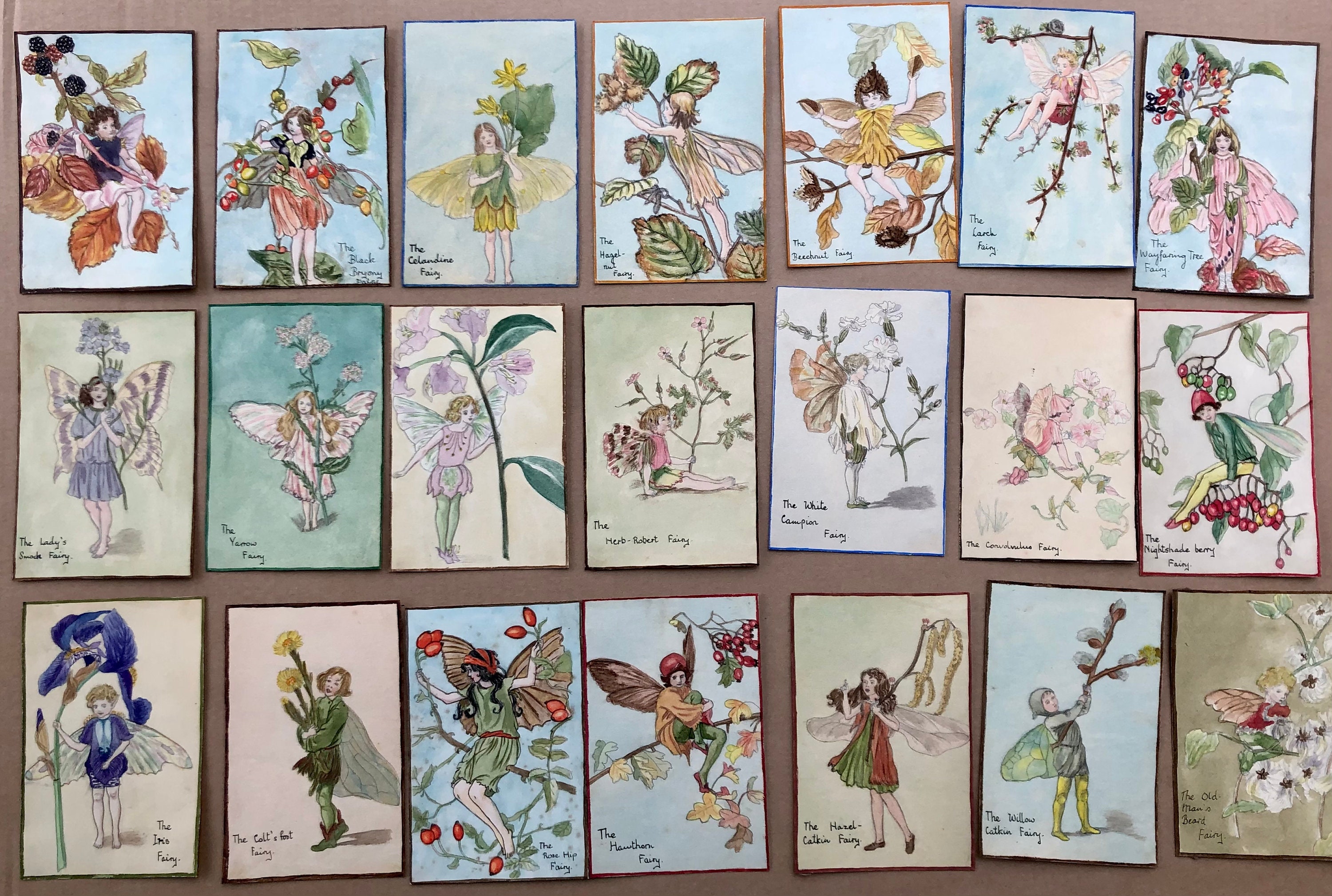 Flower Fairies Watercolour Vintage Painted Copies of Cicely - Etsy