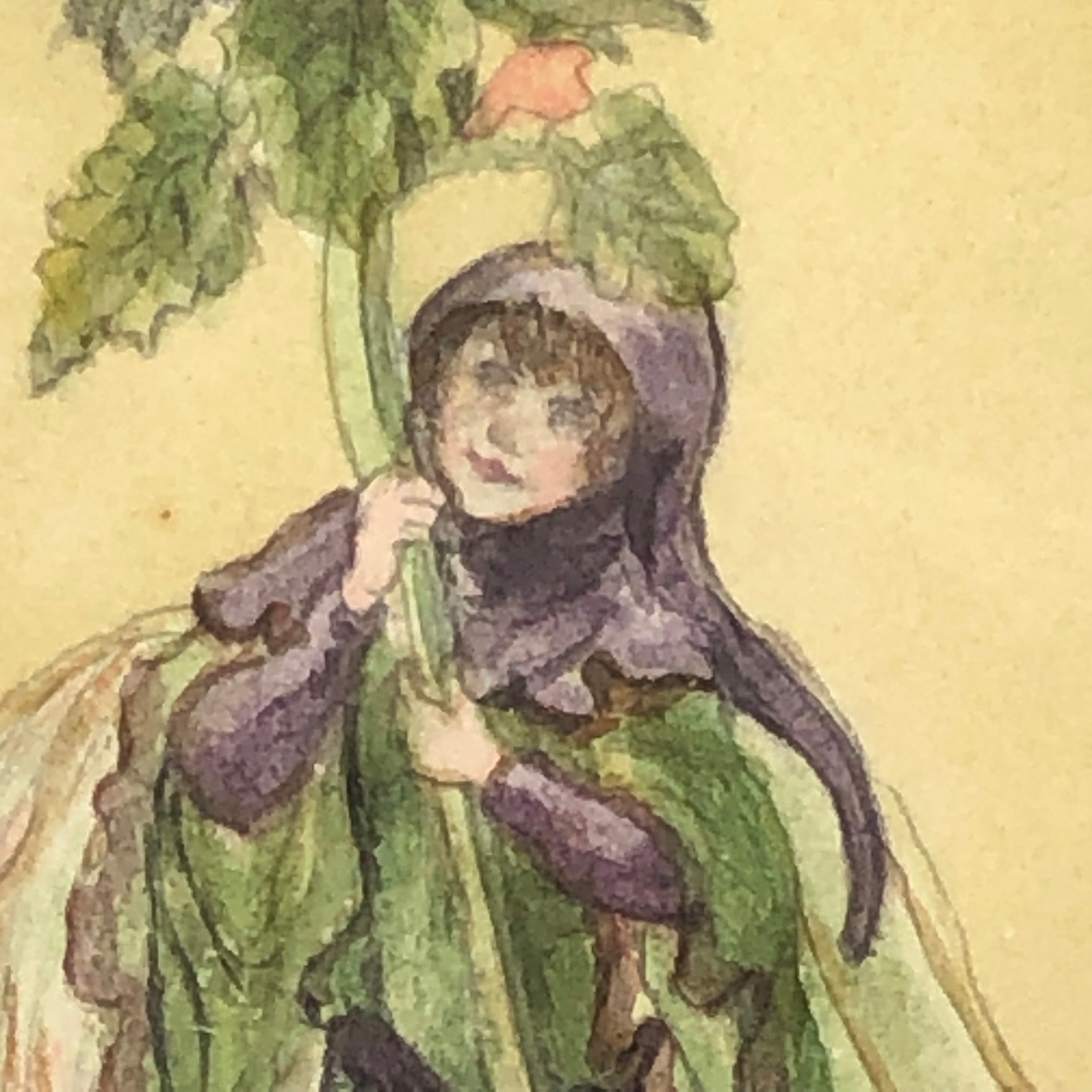 Flower Fairies Watercolour Vintage Painted Copies of Cicely - Etsy