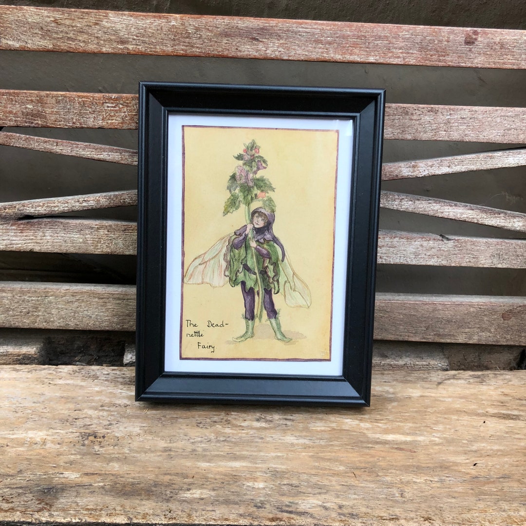 Flower Fairies Watercolour Vintage Painted Copies of Cicely - Etsy