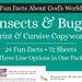 Insects & Bugs Copywork Print and Cursive - Etsy