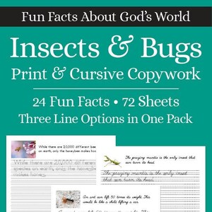 Insects & Bugs Copywork Print and Cursive - Etsy
